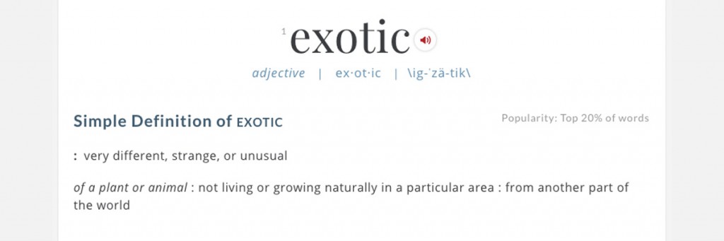 Why Calling Me 'Exotic' Isn't A Compliment - Rife Magazine